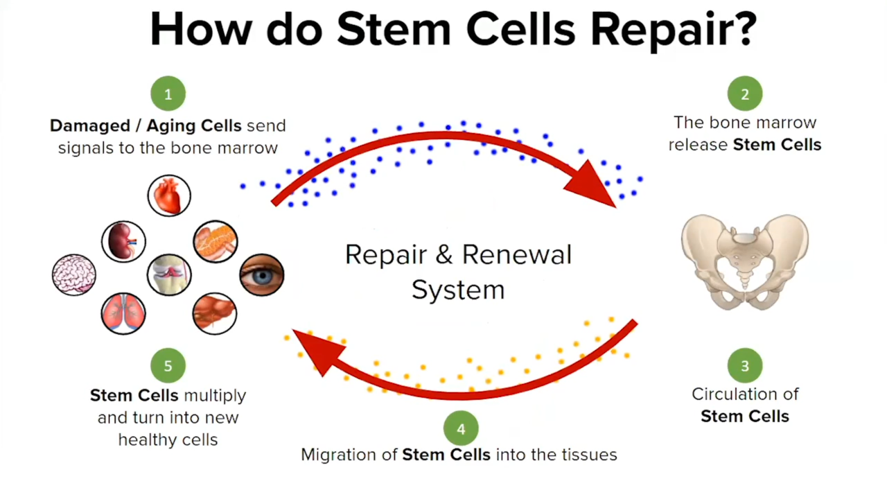 Healthy Ageing | Trish Keena - The Wardrobe Whisperer